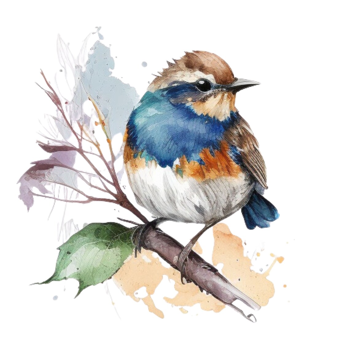 12 PNG Wild Birds Clipart for Print. Transparent Background Png Birds ...