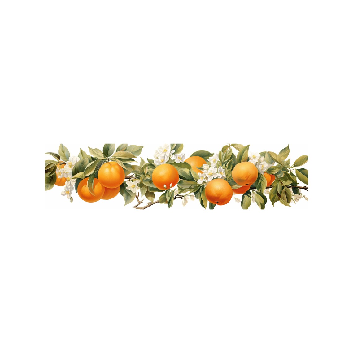 12 Orange Branch Border Clipart, Jpg, Orange Blanch Watercolor Clip Art ...