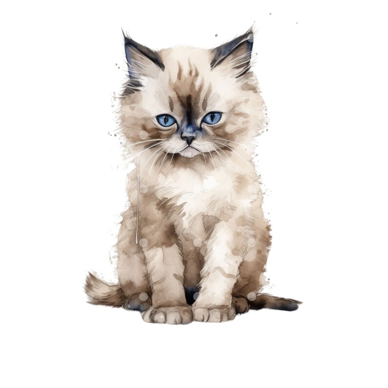 20 PNG Cartoon Grumpy Cat Clipart, Baby Grumpy Cat, Printable ...