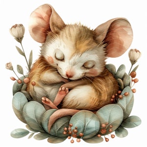 Watercolor Mouse Sleeping in Flower Clipart: Baby Nursery Art (JPG ...