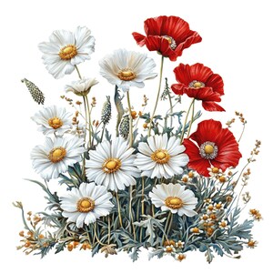 Watercolor Daisy & Poppy Clipart: Wildflower PNG Graphics (digital ...