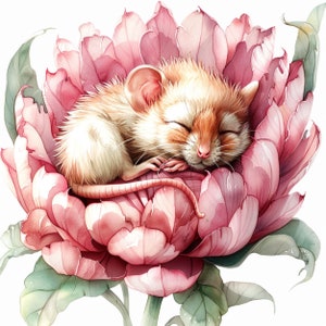 Watercolor Mouse Sleeping in Flower Clipart: Baby Nursery Art (JPG ...