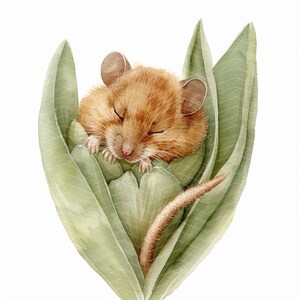 Watercolor Mouse Sleeping in Flower Clipart: Baby Nursery Art (JPG ...