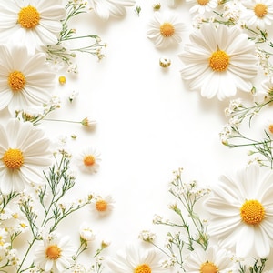 Daisy Frame Clipart: Watercolor Floral Borders (JPG Digital Art) - Etsy