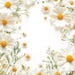 Daisy Frame Clipart: Watercolor Floral Borders (JPG Digital Art ...