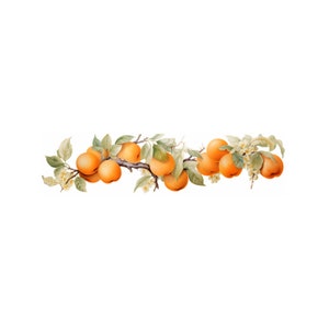 12 Orange Branch Border Clipart, Jpg, Orange Blanch Watercolor Clip Art ...