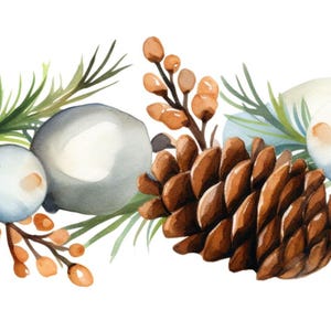 12 WINTER PINE CONES Digital Image, Christmas Pine Tree Branch, Winter ...