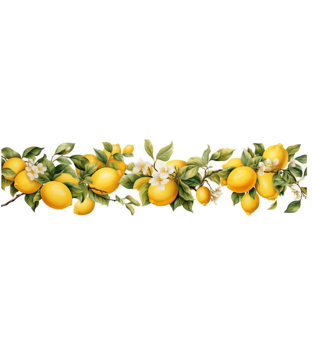 Lemon Branch Watercolor Clipart: Floral Border Image (JPG), Spring ...