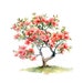 12 PNG Magic TREE Clipart, Blossom Tree Transparent Background, Png ...