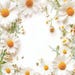 Daisy Frame Clipart: Watercolor Floral Borders (JPG Digital Art ...
