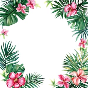 Tropical Watercolor Flower Frames Clipart: Hibiscus PNG (digital ...