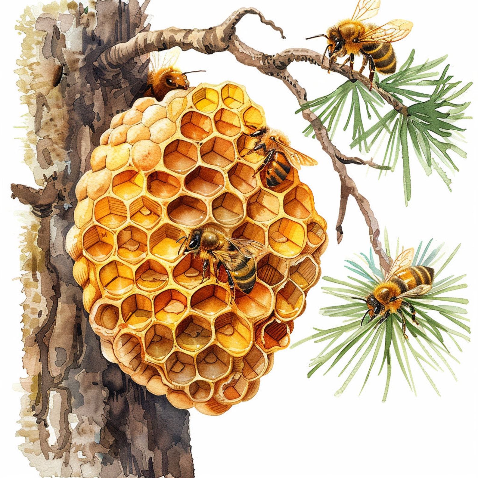 Beehive Clipart, Bee Honey Designs, 10 PNG Beehive, Bees Transparent ...