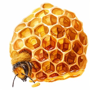 12 PNG Beehive Clipart, Bees Honeycomb Clipart, Bees Honey Clipart ...