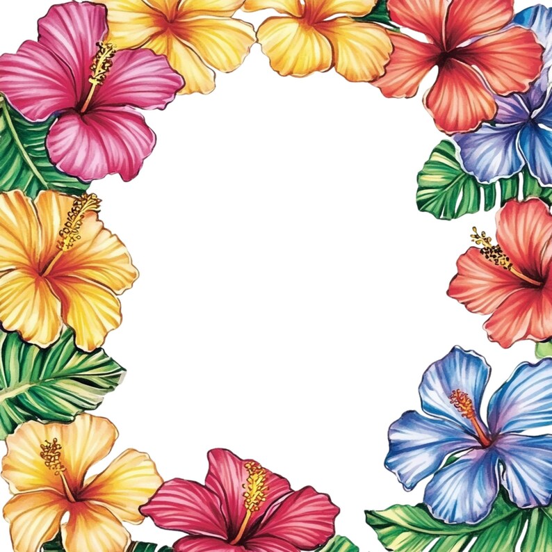 Watercolor Hibiscus Flower Frames Clipart: Hawaii PNG (digital Download ...