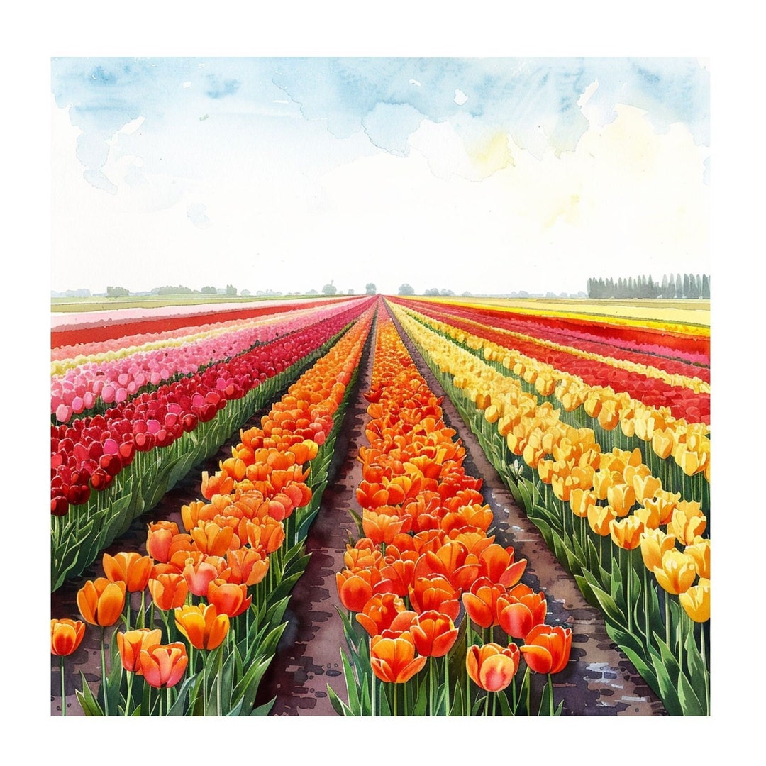 12 Field of Tulips Clipart, JPG, Tulips Clipart, Tulip Field Clipart ...