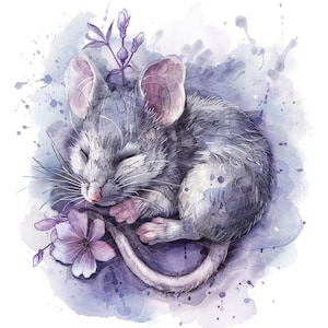 Watercolor Mouse Sleeping in Flower Clipart: Baby Nursery Art (JPG ...