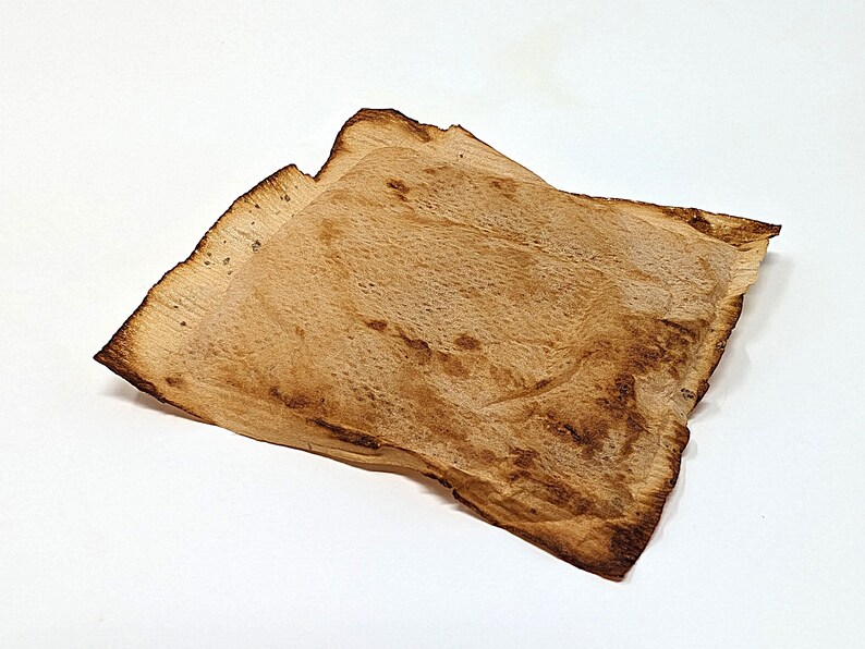 20 Mixed Unironed Teabag Papers: Sepia Craft Material - Etsy