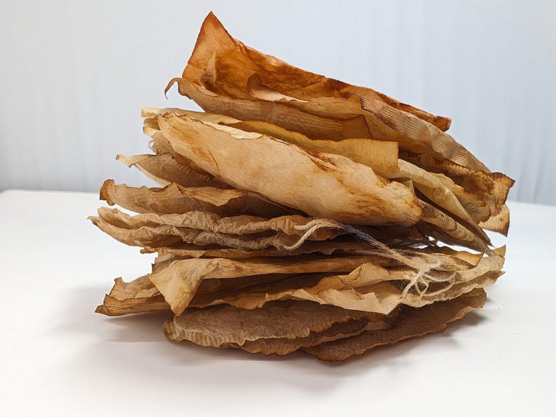 20 Mixed Unironed Teabag Papers: Sepia Craft Material - Etsy
