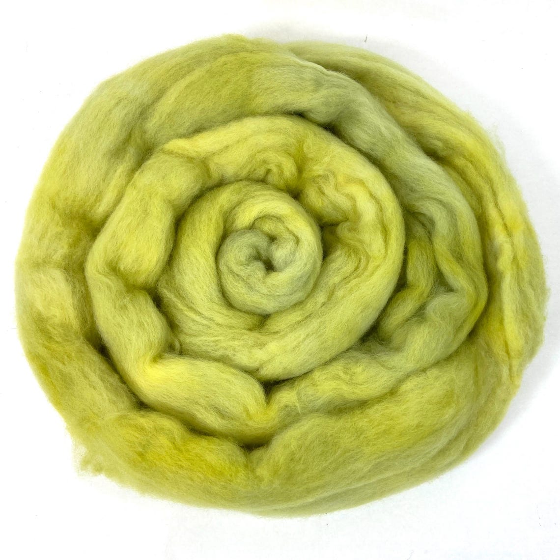 Inchworm - 2 Oz Repeatable Semisolid Wool Top, Polwarth, Merino ...
