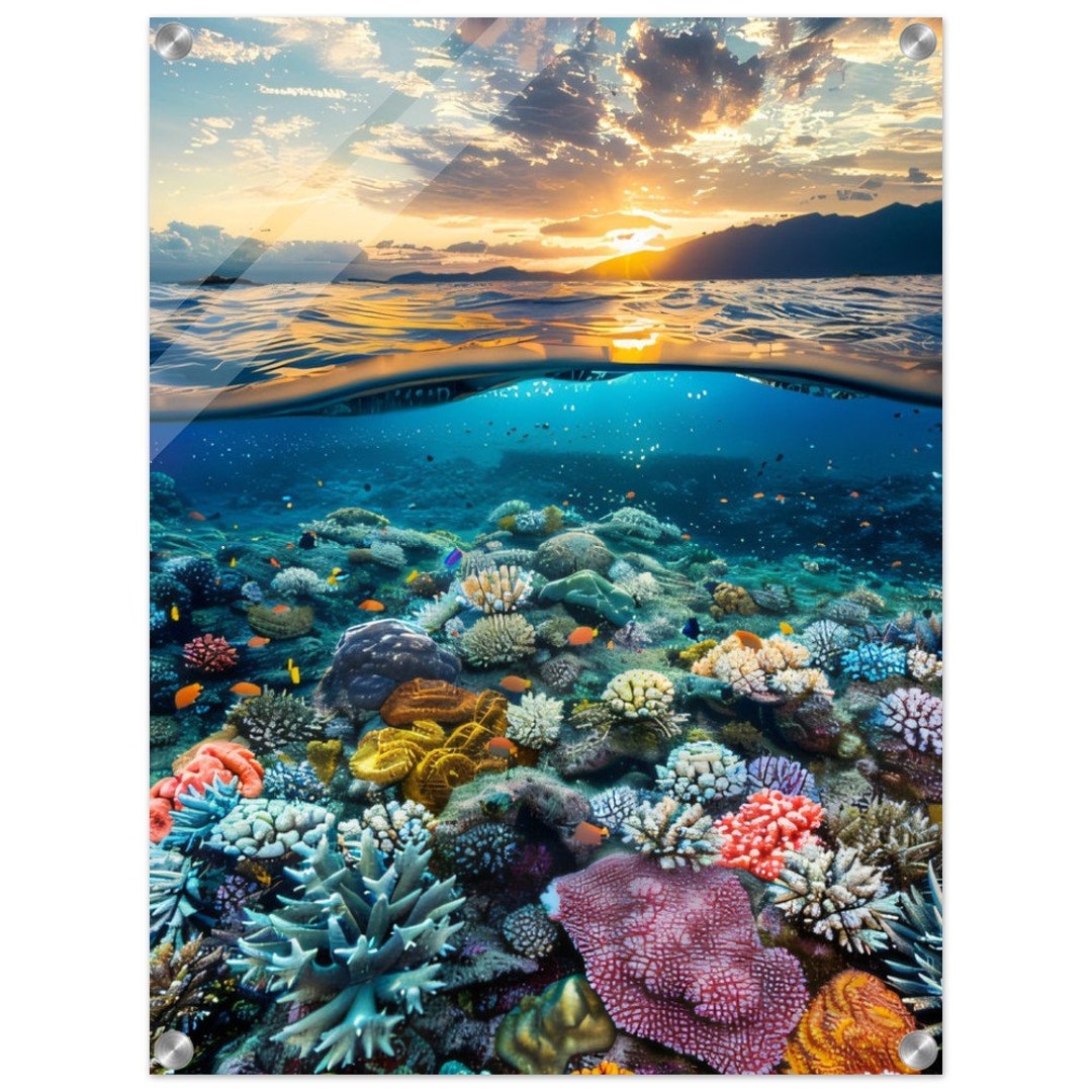 Custom Wall Art | Beautiful Reef Acrylic Print - Etsy