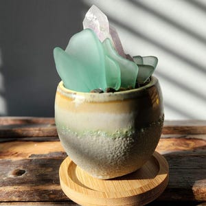 Hand Made Sea Glass Succulent - Etsy