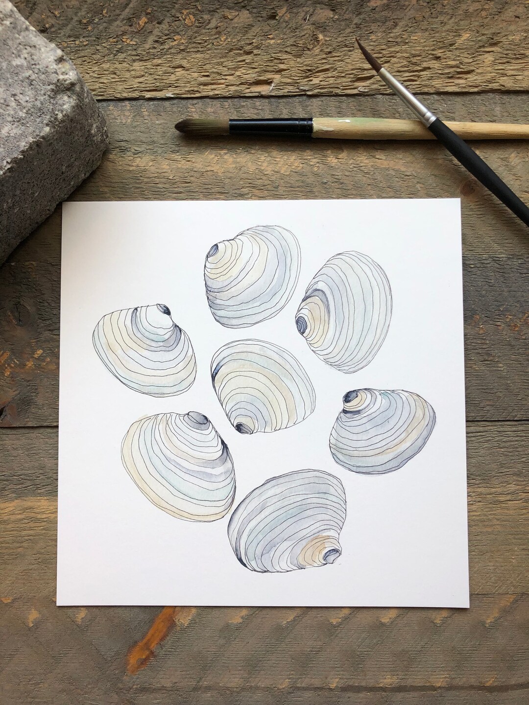 Clams Print | Watercolor Clam Print | Coastal Art Print | Clam Art ...