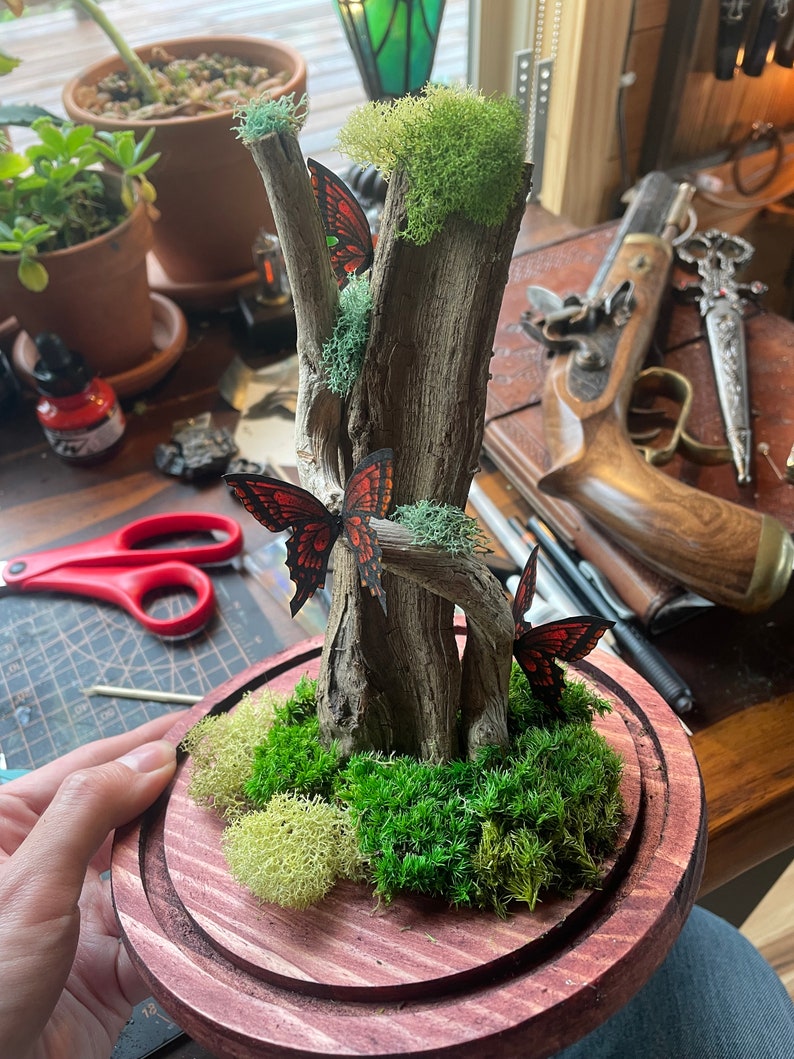 Modern Monarch Drift Wood Biome Display, Hand Painted, Glass Dome - Etsy