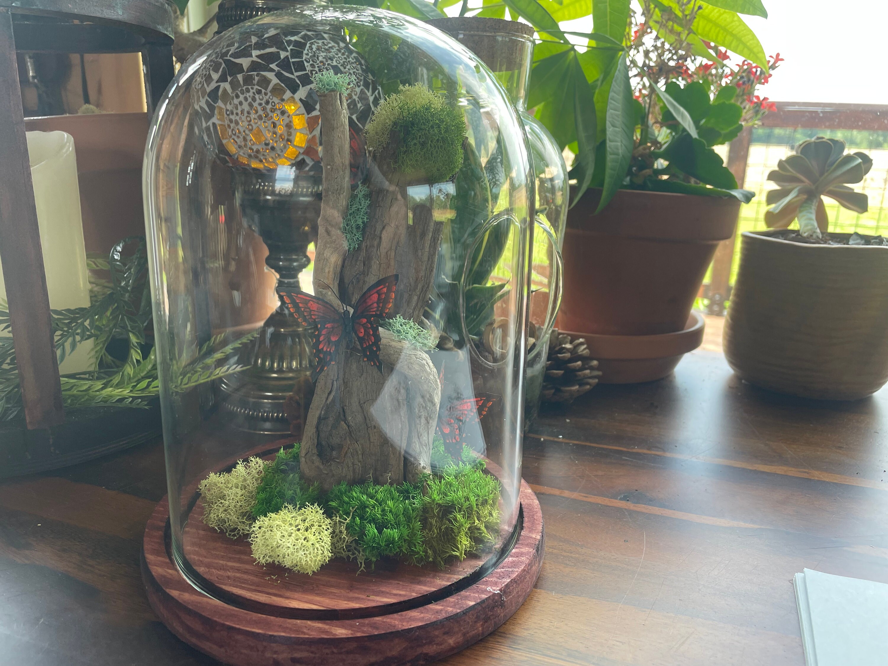 Modern Monarch Drift Wood Biome Display, Hand Painted, Glass Dome - Etsy