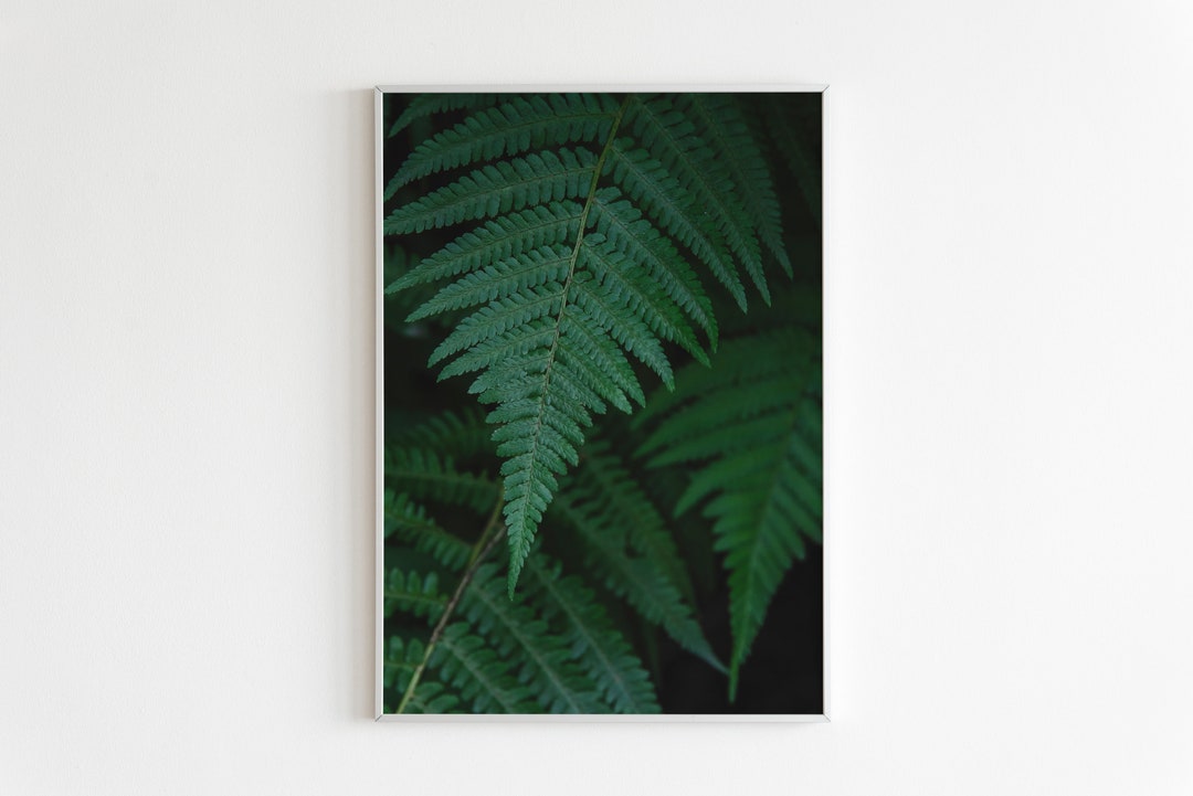 Printable Botanical Fern Wall Art Plant Leaves Photography Livingroom ...