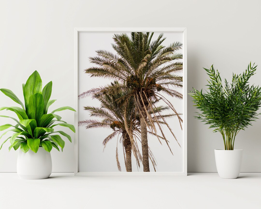 Palm Trees Wall Art, Palm Tree, Instant Download, Livingroom Wall Decor ...