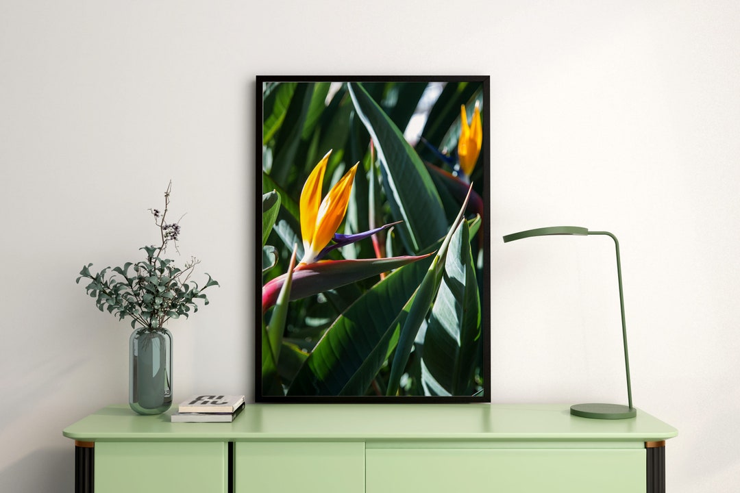 Printable Green Leaves Strelitzia Poster Green Wall Pictures Modern ...