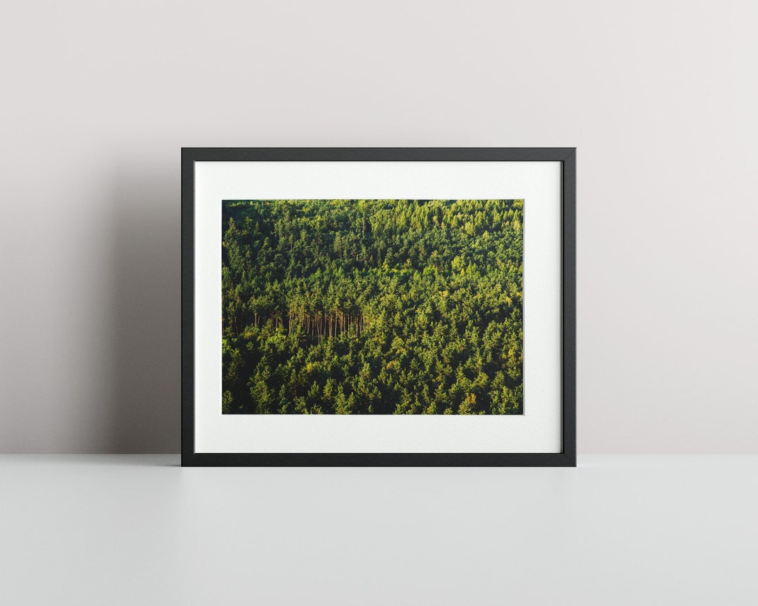 Printable Green Forest Wall Art Green Trees Print Digital Download ...