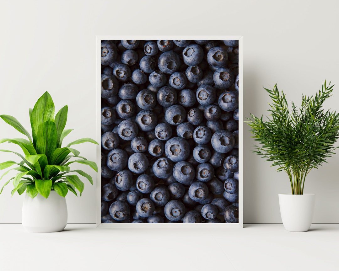Poster Blueberries Fruit Photo Wall Art Digital Prints Kitchen Wall ...