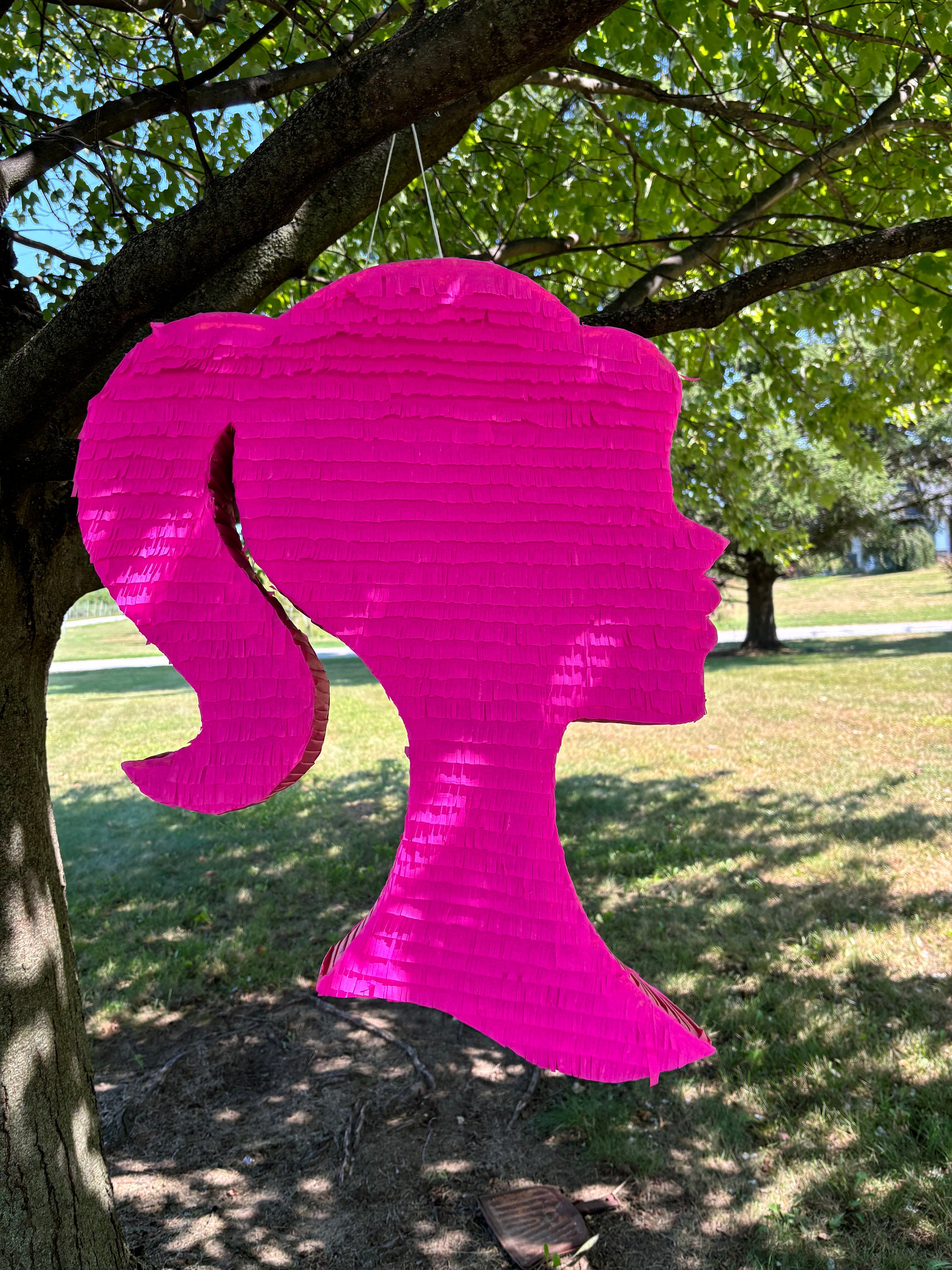 Barbie Silhouette Pinata - Etsy