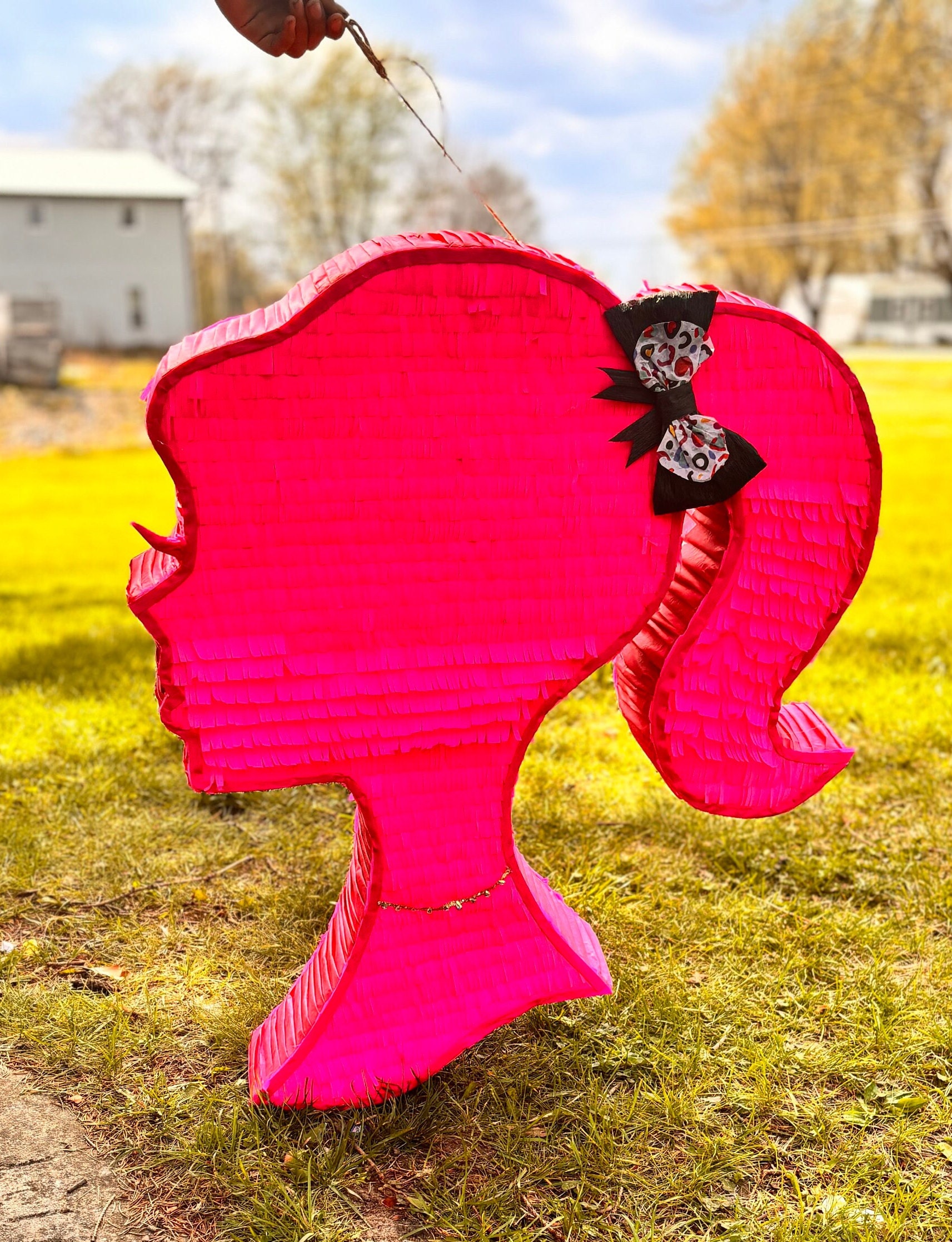 Barbie Silhouette Pinata - Etsy