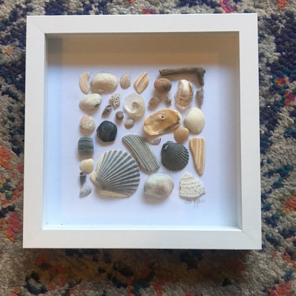 Framed Seashell - Etsy