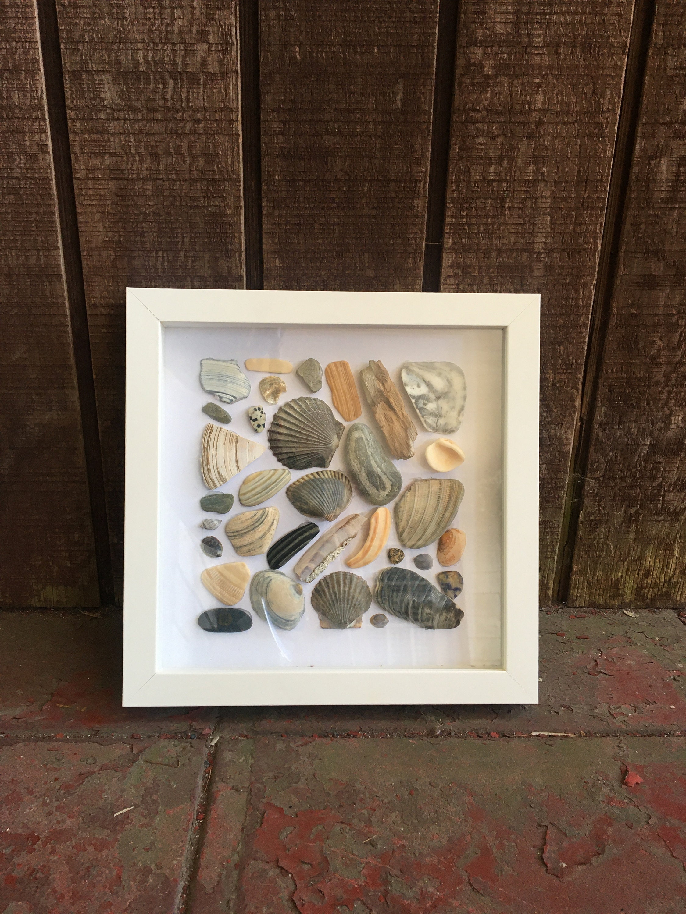 Coastal Seashell Shadowbox Wall Decor, Seashell Framed Art - Etsy