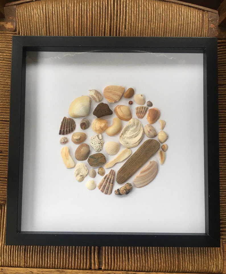 Coastal Seashell Shadowbox Art Framed Seashell Beach Art Etsy