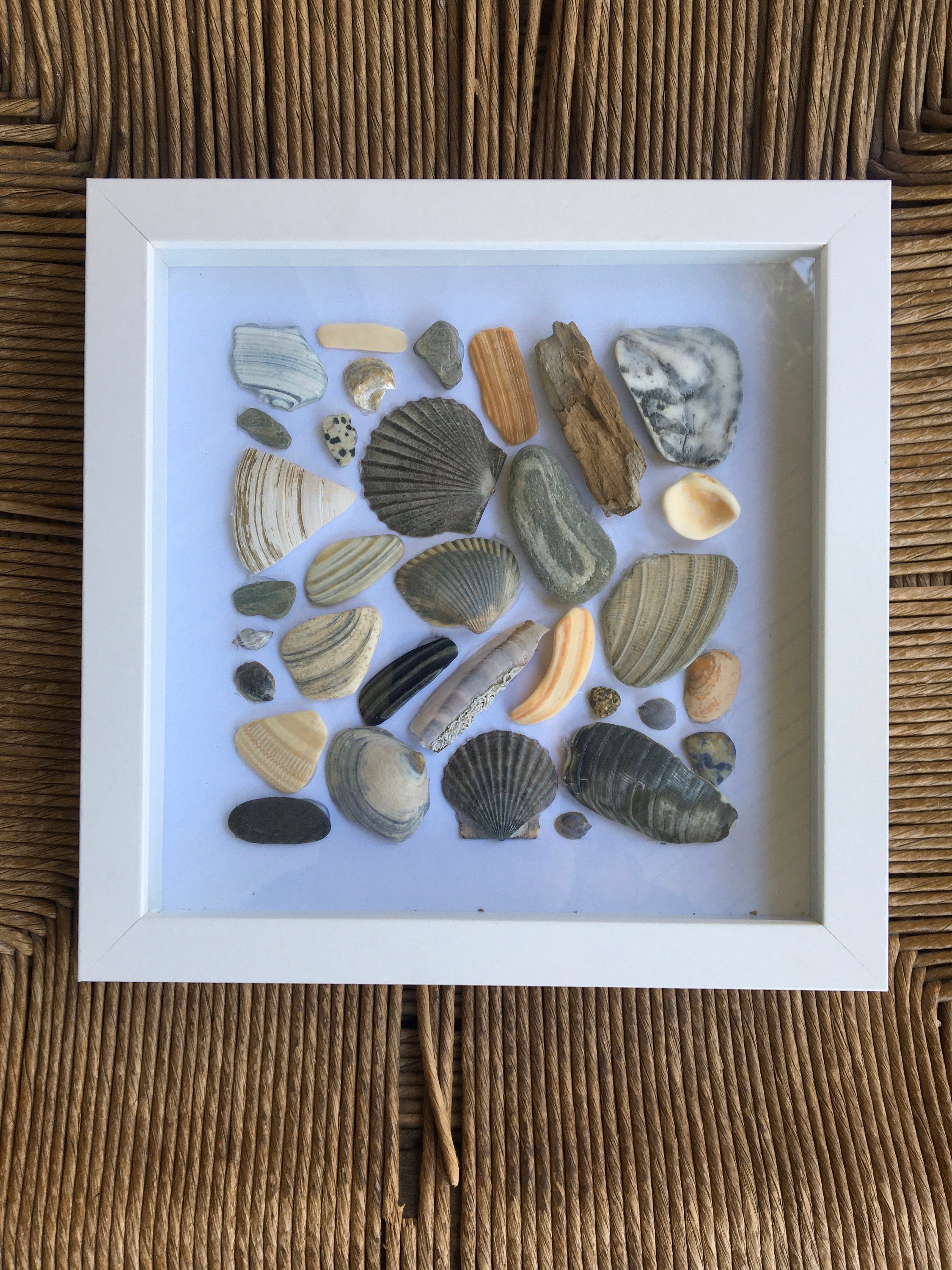 Coastal Seashell Shadowbox Wall Decor, Seashell Framed Art - Etsy
