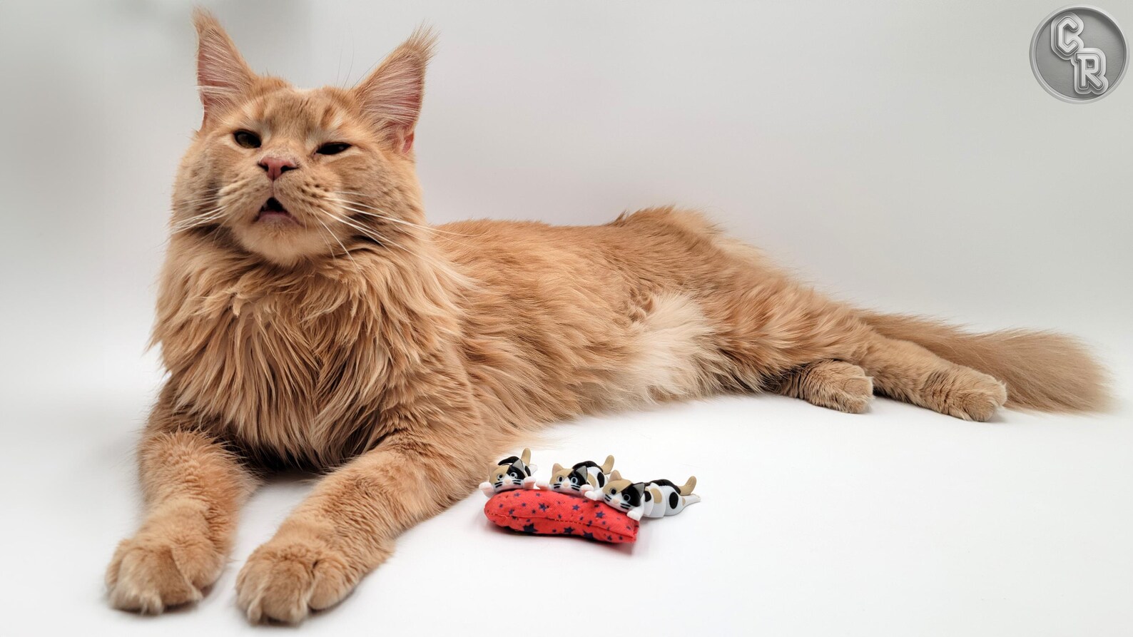 Flexible Calico Cat Fidget Toy - Unique 3D Printed Miniature Gifts for ...