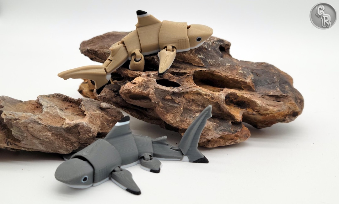 Articulated Mini Reef Shark Fidget Toy - 3D Printed Marine Biology ...