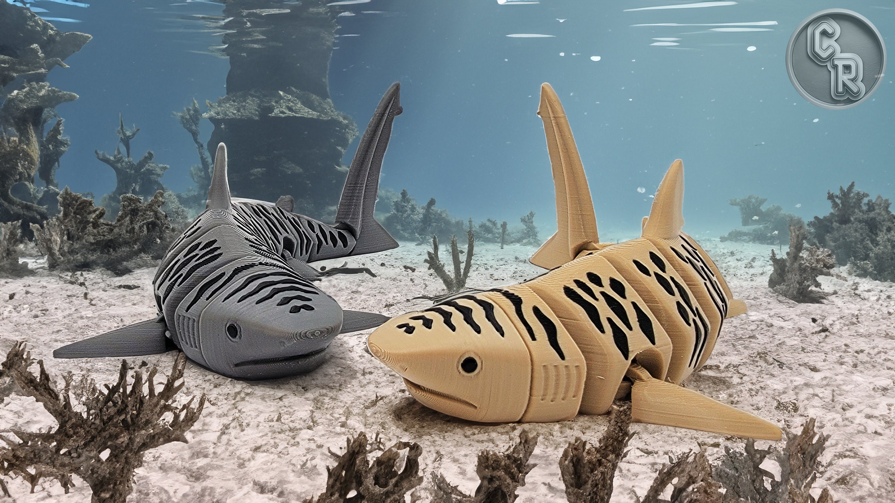 Tiger Shark Fidget Toy 3D Printed Moving Marine Life Art, With Optional ...