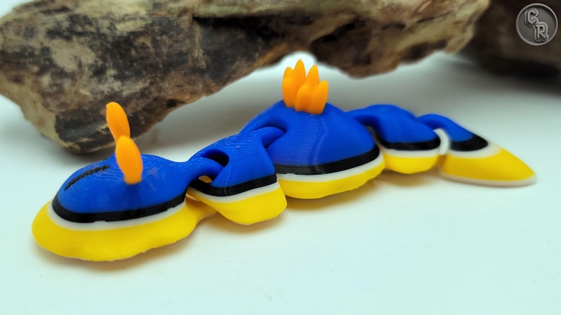 Flexible Sea Slug Fidget Toy: Elizabeth's Chromodoris Nudibranch Snail ...