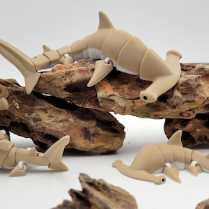 Articulated Mini Hammerhead Shark Fidget Toy - Unique 3D Printed Marine ...