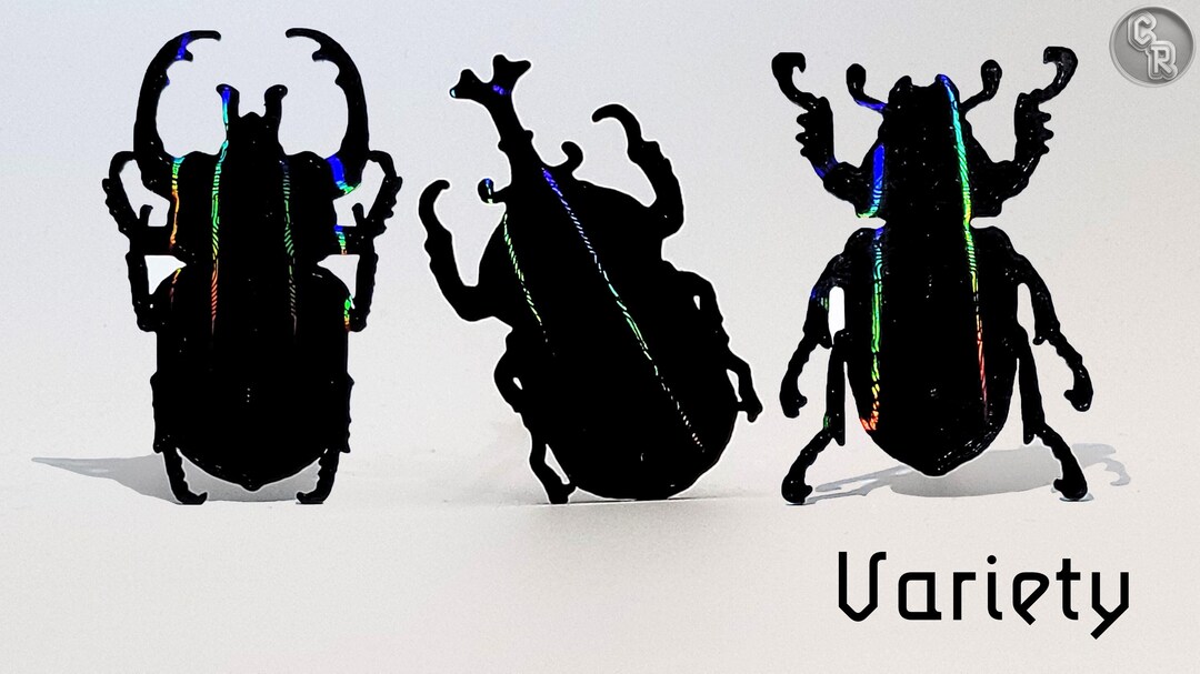 Vibrant 3D Beetle Insect Magnets for Kitchen Appliances and Event ...