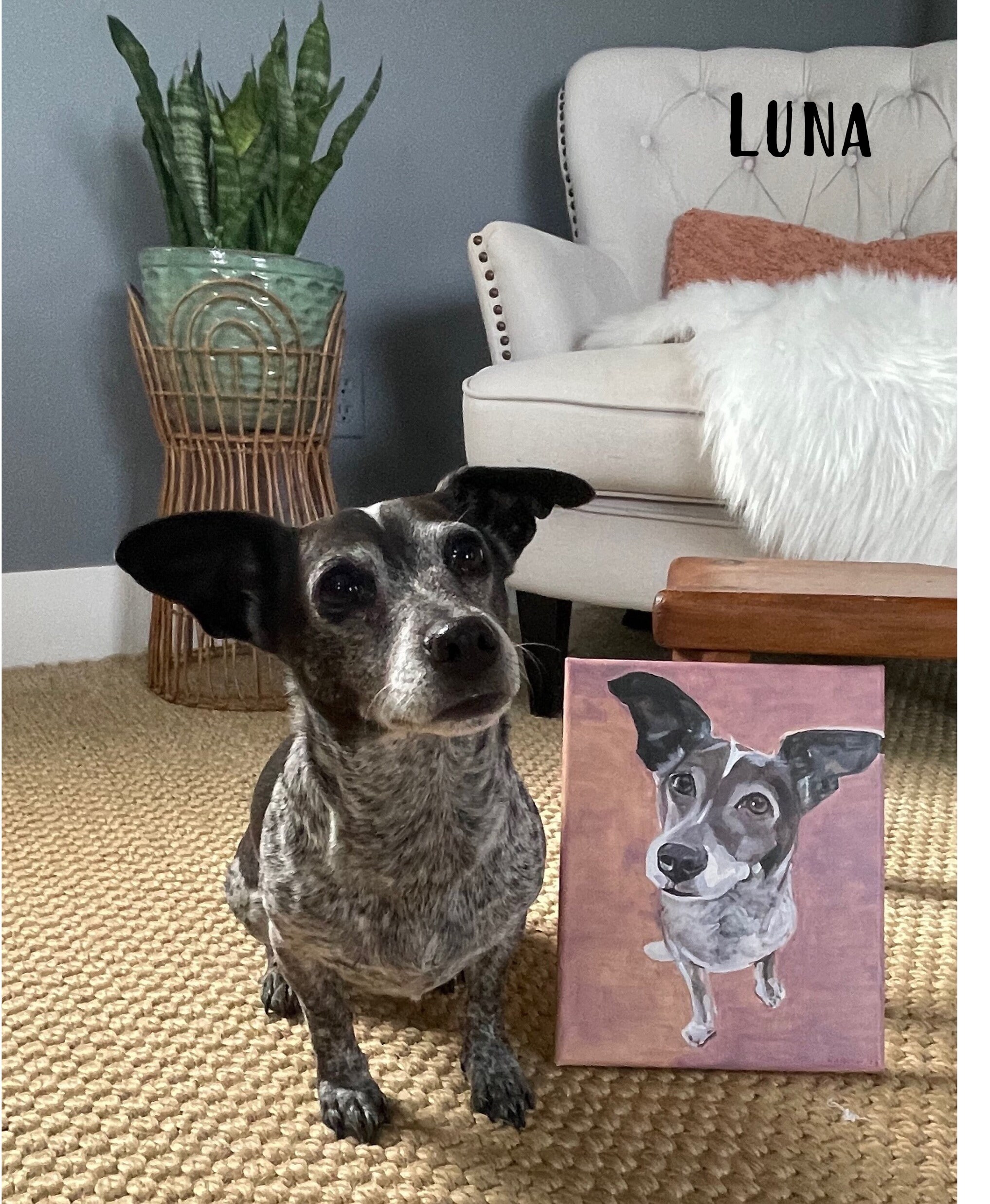 Custom Hand-painted Pet Portrait on Canvas - the Ultimate Gift! - Etsy