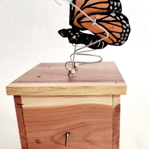 Monarch Butterfly Automaton - Cedar and Basswood - Kinetic Art ...