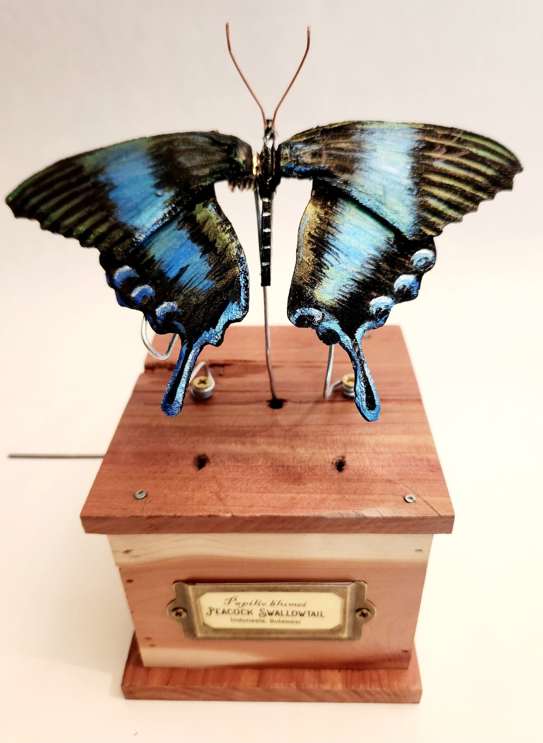 Peacock Swallowtail Butterfly - Kinetic Sculpture - Etsy