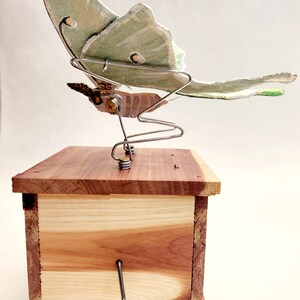 Luna Moth - Kinetic Sculpture - Etsy