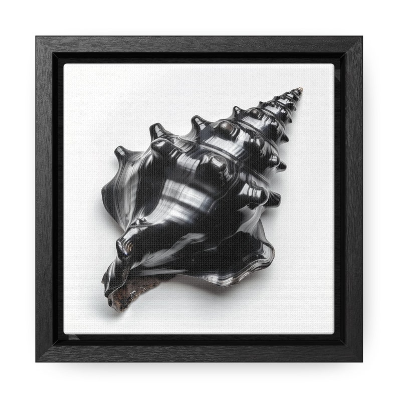 Conch Sea Shell Wall Art Black and White Conch Sea Shell Wall Art Sea ...